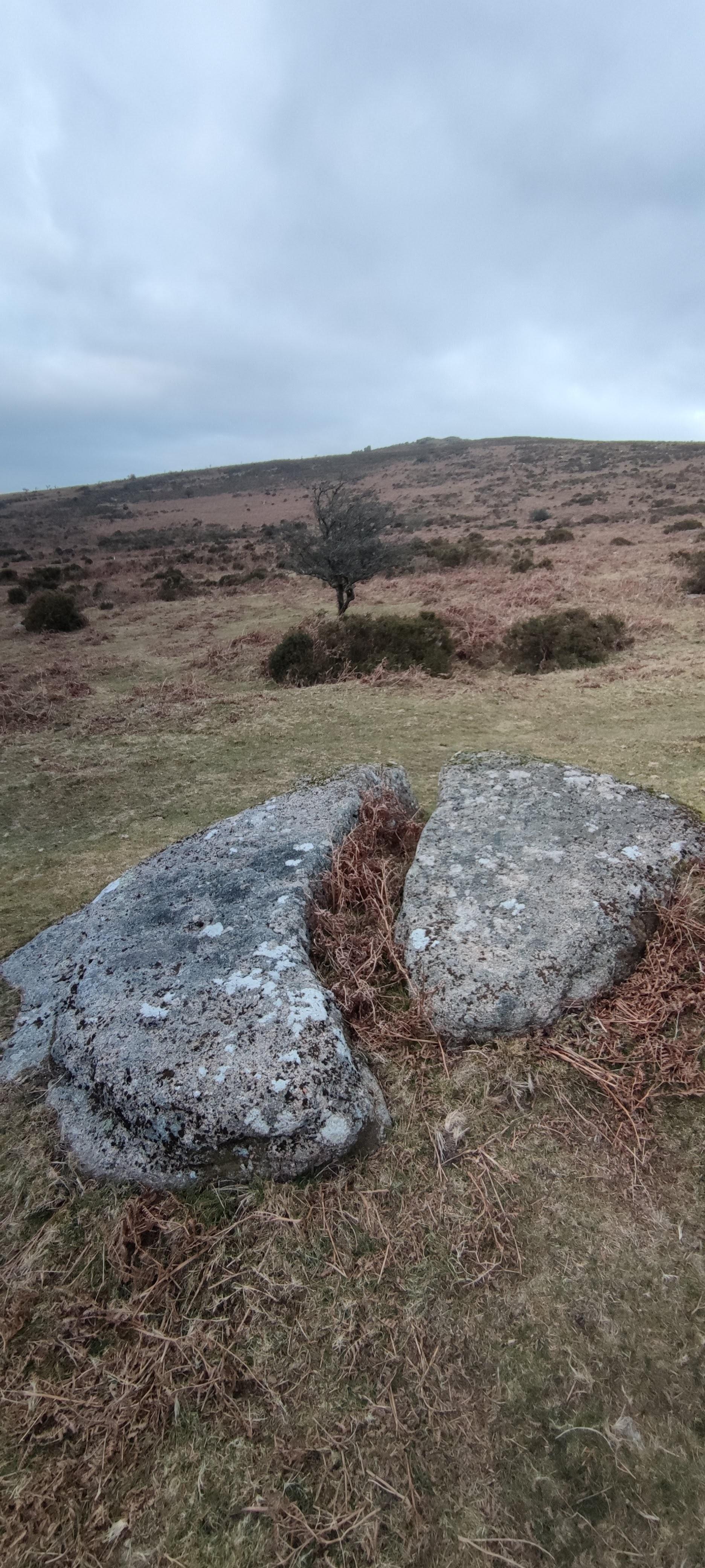 Storyteller: Dartmoor tales set in stone - Torbay Today