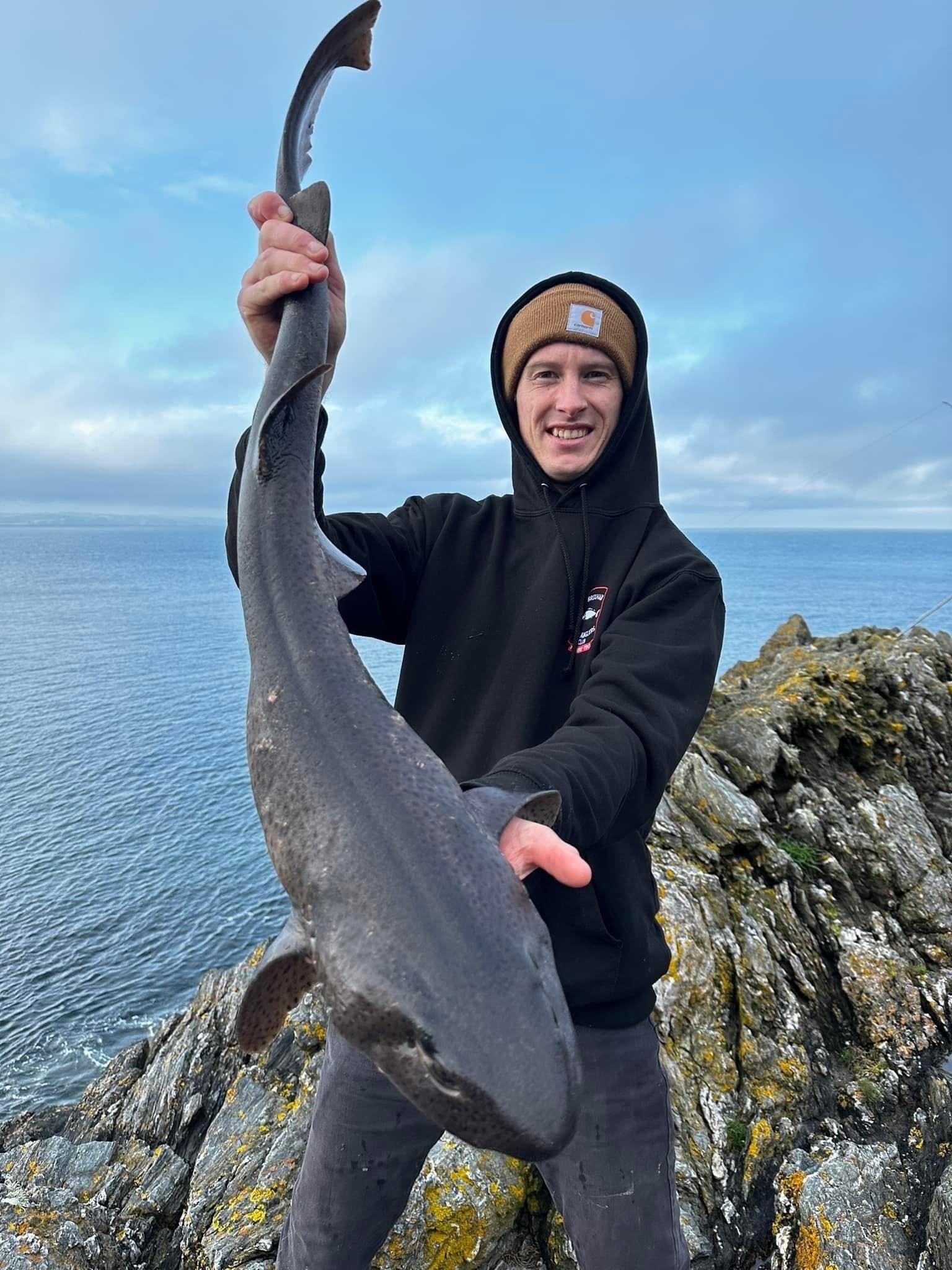 Angling: Plenty of bull huss for shore fishers - Torbay Today